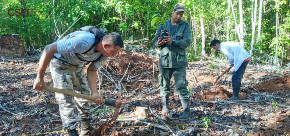 Guardians of the Forest Save Belize’s Natural Treasures