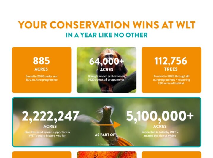 #YourConservationWins2020: Infographics chart year of victories