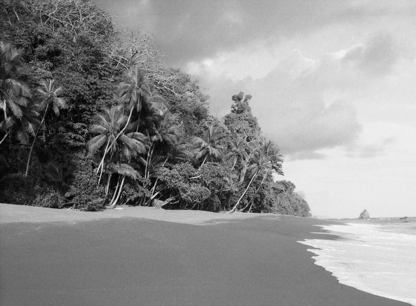 #OurReasonsForNature: WLT’s Tracey Butler on her fascination with wild cats