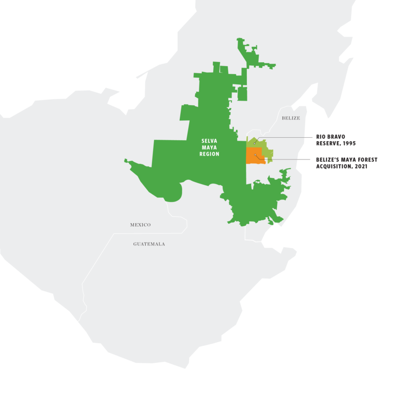 236,000 acres saved! The partnership to preserve Belize’s Maya Forest