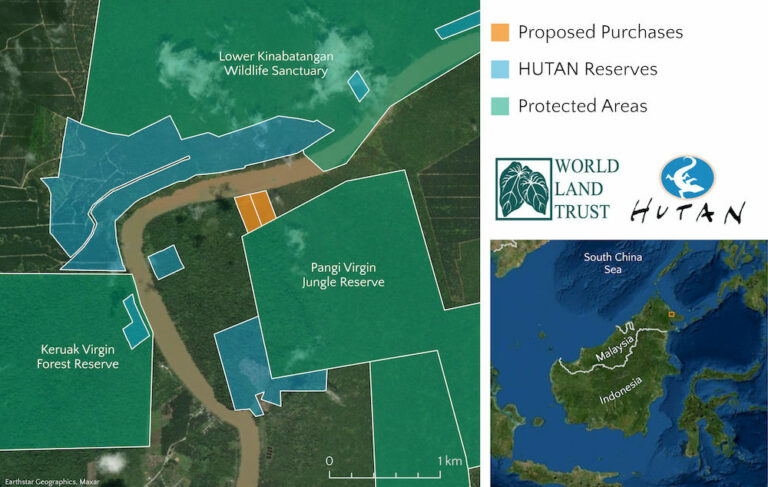 HUTAN's Isabelle Lackman on importance of WLT's new appeal