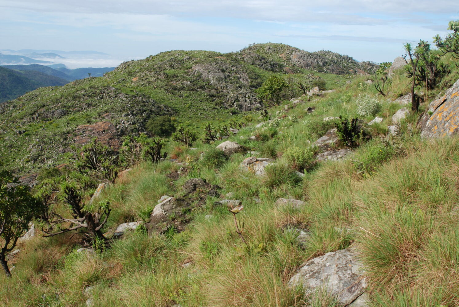Mount Moco landscape - Michael Mills (6) - World Land Trust