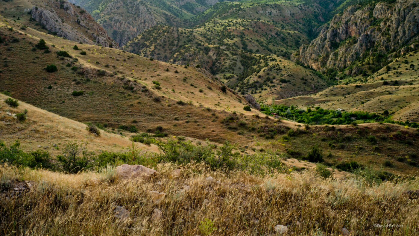 Rainforest and Wildlife conservation in action with World Land Trust