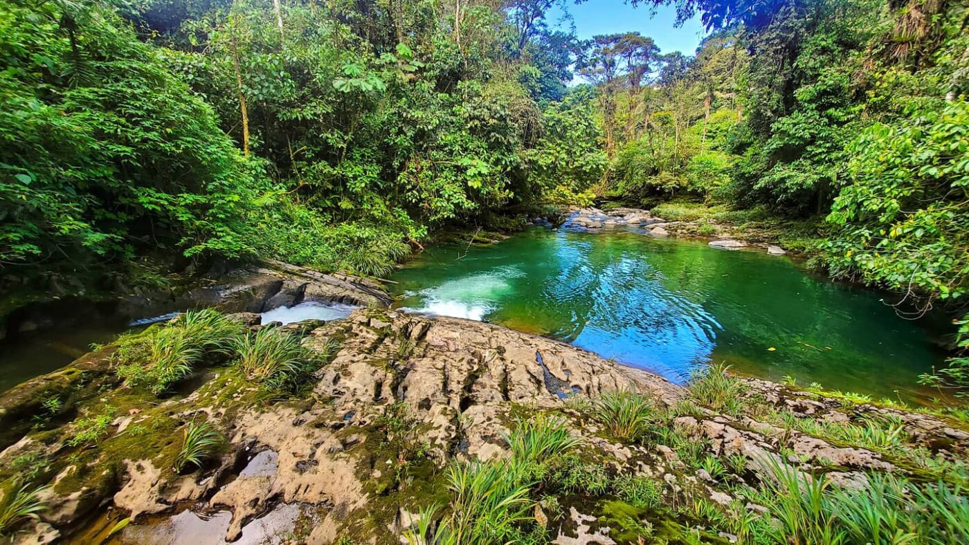 Great news for Ecuador: Río Anzu Reserve Achieves OECM Status