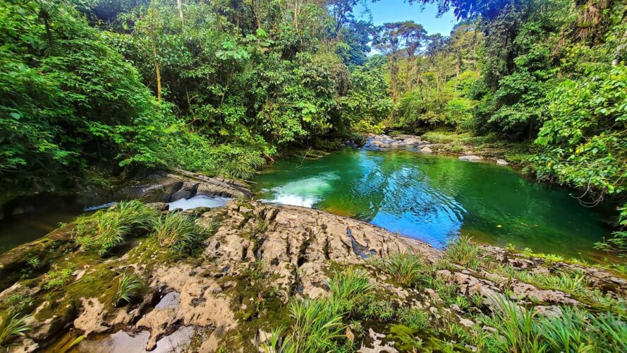 Great news for Ecuador: Río Anzu Reserve Achieves OECM Status